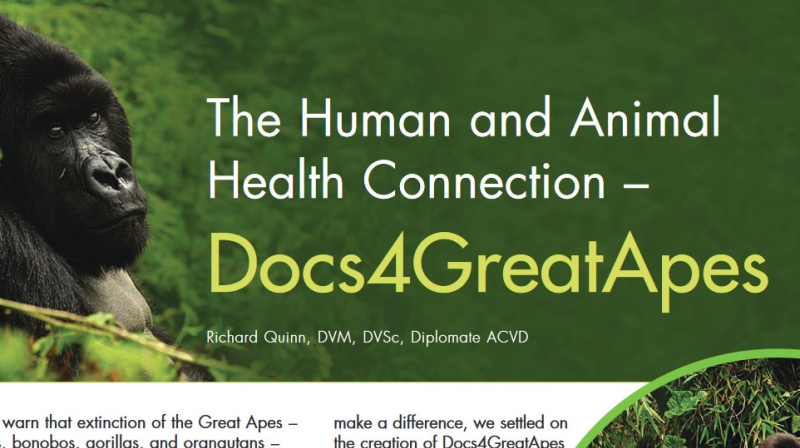 Docs4GreatApes.org - Article - The Human and Animal Health Connection ...